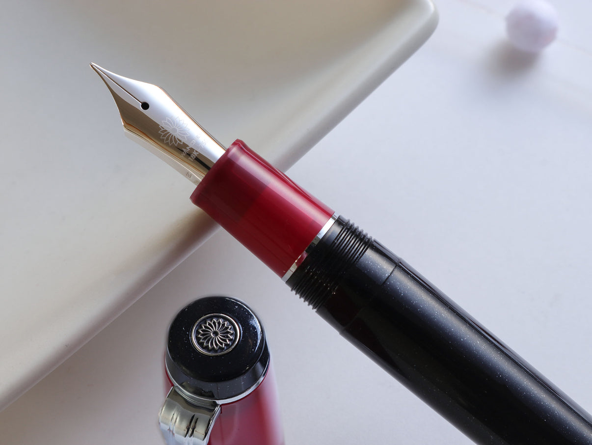 Wancher Queen of Hearts Fountain Pen – Luxury 18K Gold Nib Writing ...